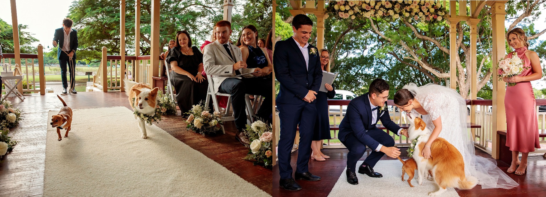 A paws-itively perfect New Farm Park Rotunda wedding with the couples ...